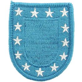 PATCH-ARMY,FLASH,BERET/US Wholesale and military products
