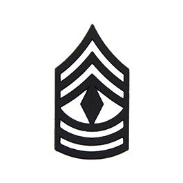 RANK-ARMY,E8,1ST SGT Wholesale and military products