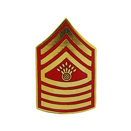 PIN-USMC,E9,MAST.GUN.SGT Wholesale and military products